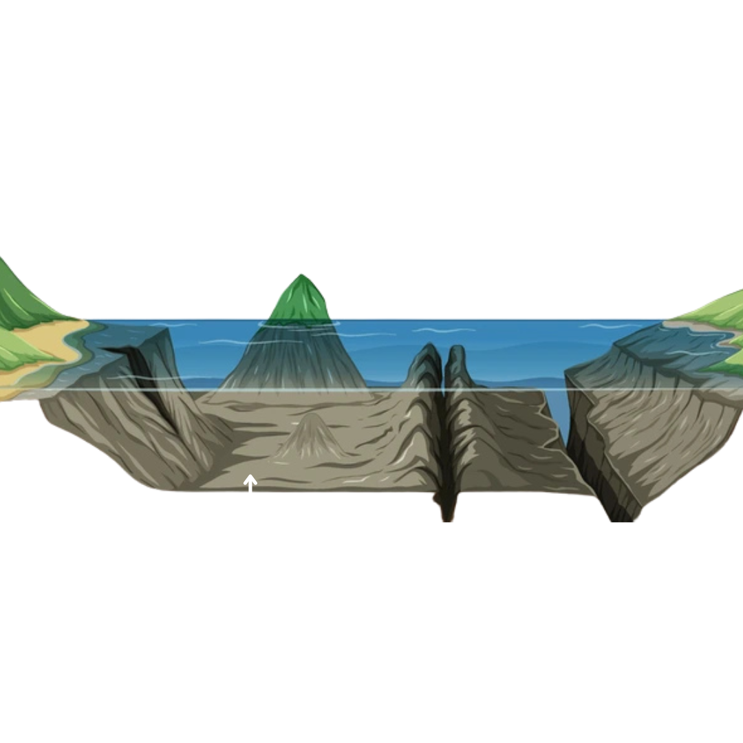 Lesson 3: Ocean Basins and Features – Trenches, Ridges, and Plate Tect ...