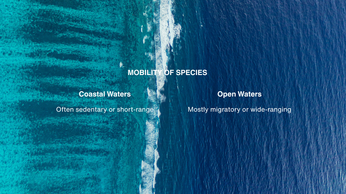 Lesson 3: The Open Ocean vs. Coastal Waters: What’s the Difference ...