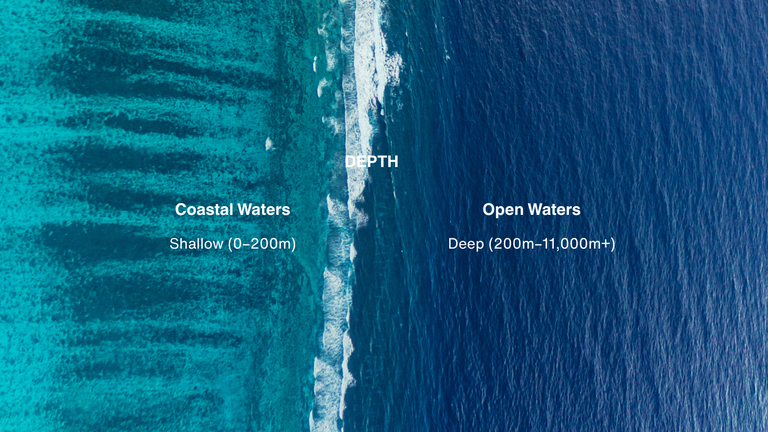 Lesson 3: The Open Ocean vs. Coastal Waters: What’s the Difference ...