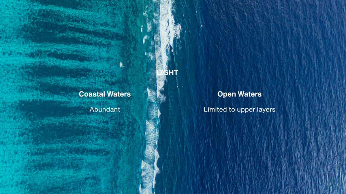 Lesson 3: The Open Ocean vs. Coastal Waters: What’s the Difference ...