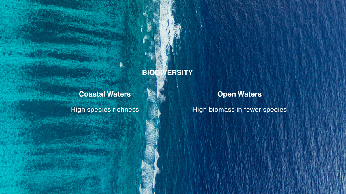 Lesson 3: The Open Ocean vs. Coastal Waters: What’s the Difference ...