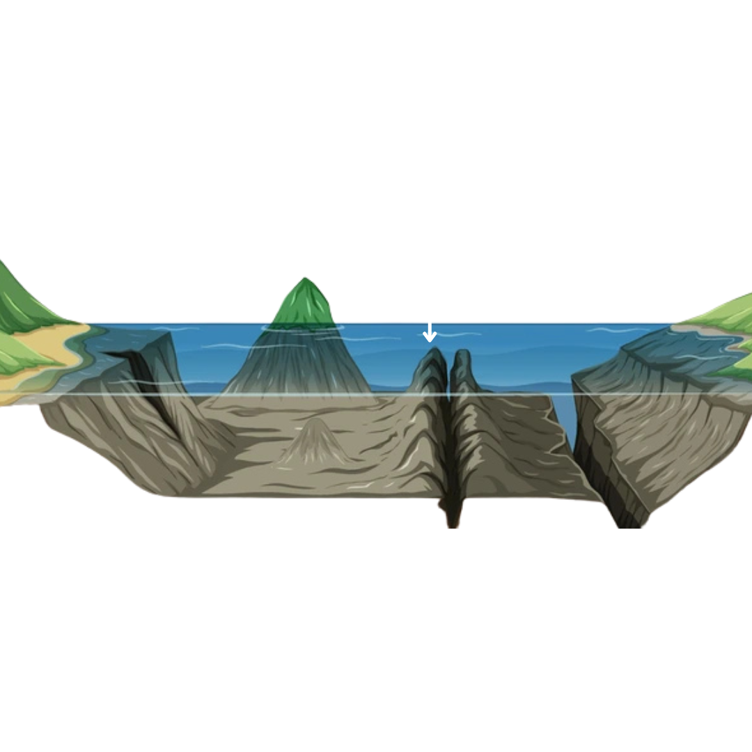 Lesson 3: Ocean Basins and Features – Trenches, Ridges, and Plate Tect ...