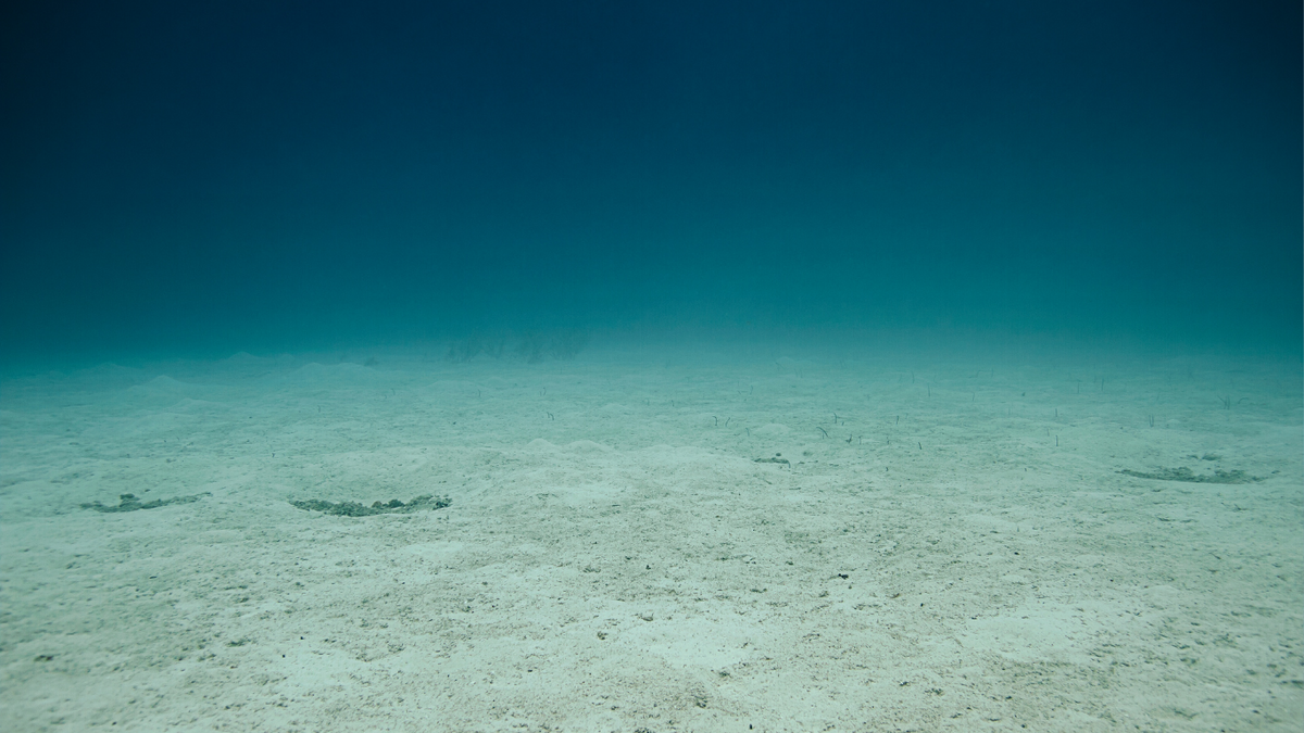 Lesson 4: What Are "Dead Zones" and Why Do They Happen? – NAUTRA