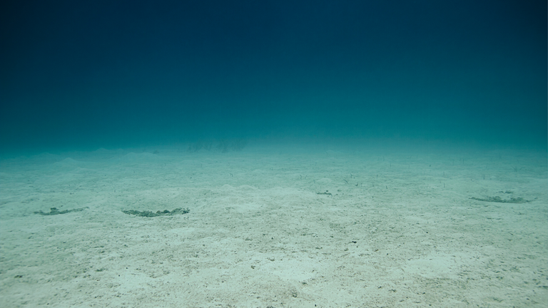 Lesson 4: What Are "Dead Zones" and Why Do They Happen? – NAUTRA