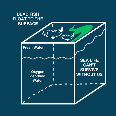 Lesson 4: What Are "Dead Zones" and Why Do They Happen? – NAUTRA