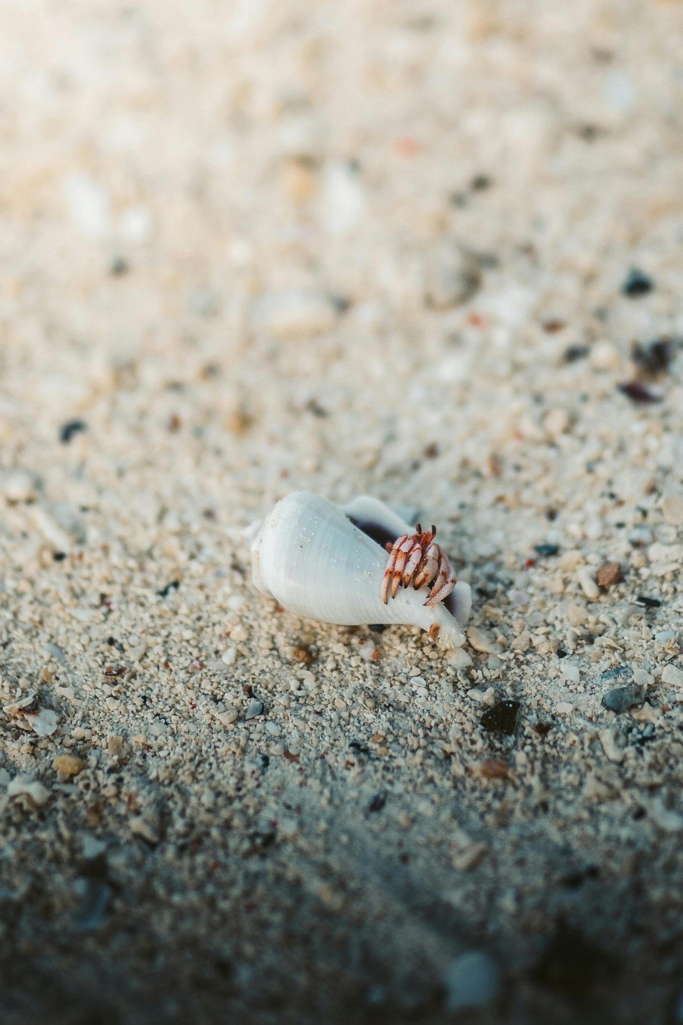 Lesson 3: The Open Ocean vs. Coastal Waters: What’s the Difference ...